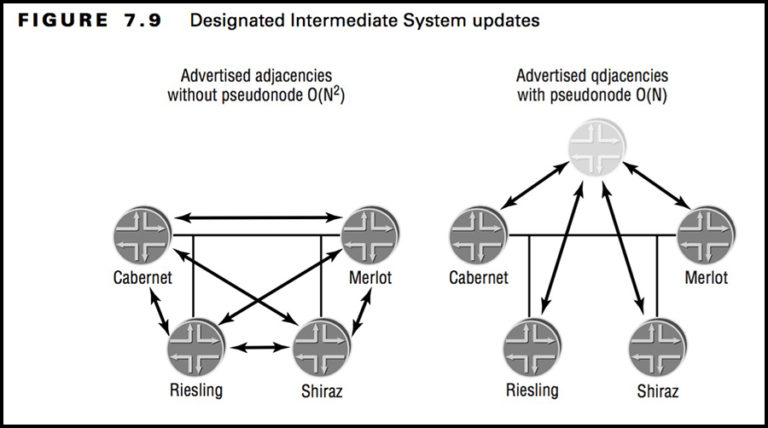 Junos: IS-IS Study Notes, Part 3 – Interfaces, Metrics, the DIS, and ...